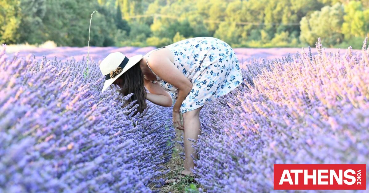 GardenGirl aesthetic: Θα ’θελα να ’μουν κηπουρός | Athens Voice